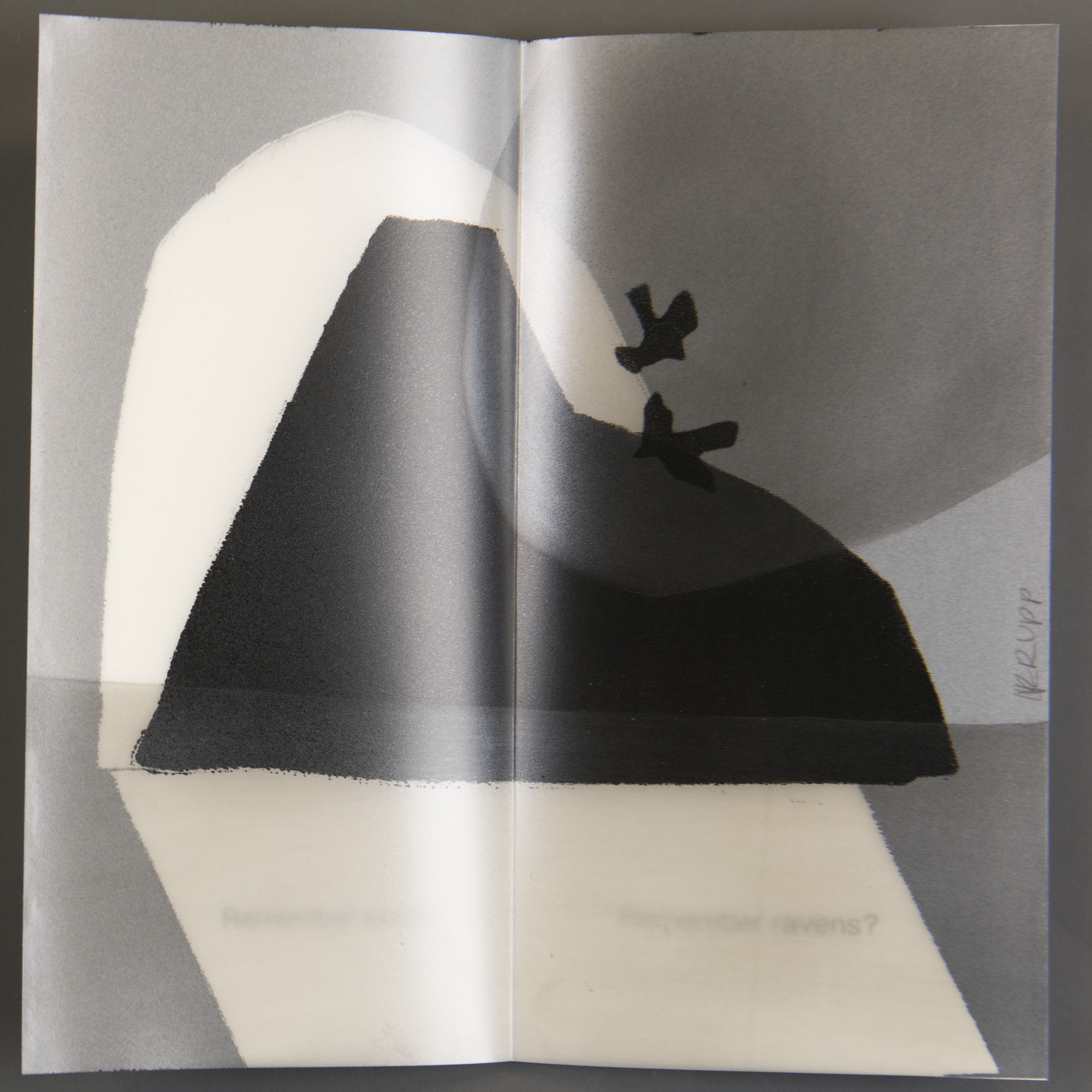 Raven_Andrea_Krupp – The Delaware Valley Chapter of the Guild of Book ...